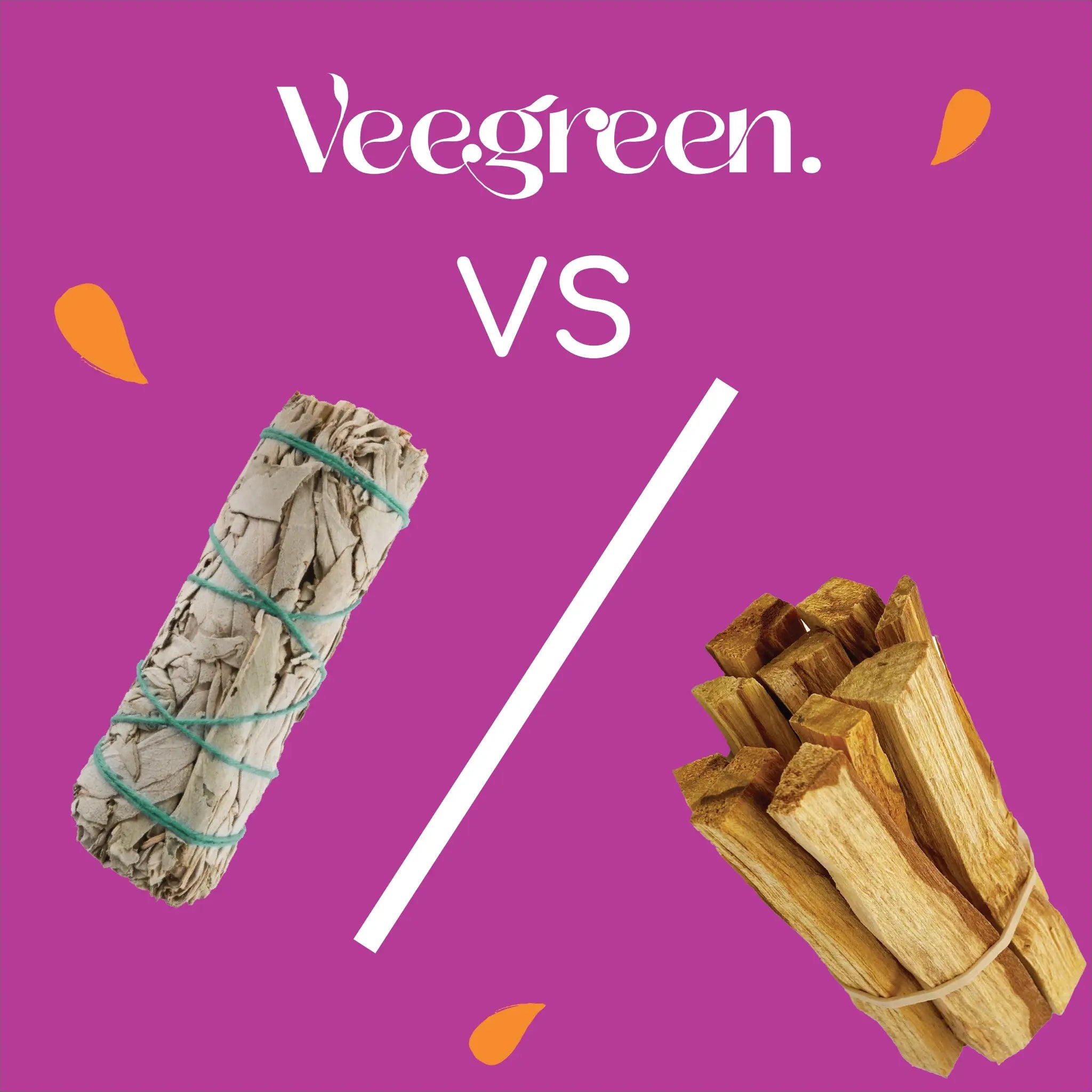 Quelle est la différence entre la sauge blanche et le Palo Santo ? - – Veegreen